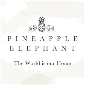Povlaky na polštáře v sadě 2 ks 50x75 cm Tamba Stripe – Pineapple Elephant