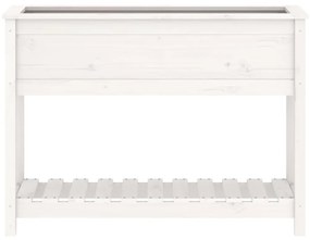 Truhlík s policí bílý 111,5 x 34,5 x 81 cm masivní borové dřevo,  823767
