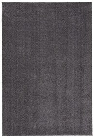Koberec Sointu: Tmavě šedá 80x300 cm