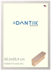 DANTIK rámeček 42x59,4 | KASSETTE šedá (Plexi Čiré)