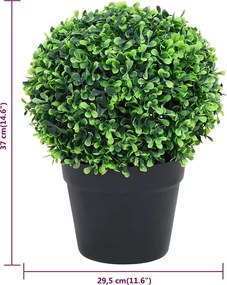 Umělé zimostrázy ve tvaru koule 2 ks s květináči zelené 37 cm 336518