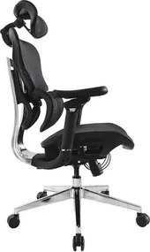 Equip Ergonomická kancelářská židle černá / Kancelářská židle / síťový