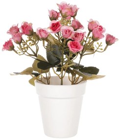 Mini růžičky v plastovém bílém obalu SG7334 Růžová