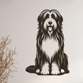 dřevo života Dřevěný obraz Bearded Collie Rozměry (cm): 31x40, Zvolte barvu dekoru: Wenge