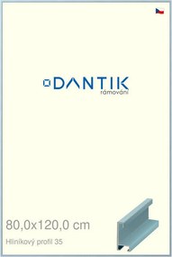 DANTIK rámeček 80x120 | ALU profil 6035 Dýha barevná modrá pastel (Plexi Čiré)