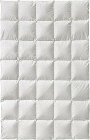XXXLutz CELOROČNÍ PŘIKRÝVKA, 135-140/200 cm, prachové peří Billerbeck - Přikrývky - 003279017801