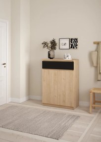 FALCO Botník Simplicity 209 jackson hickory/černý mat