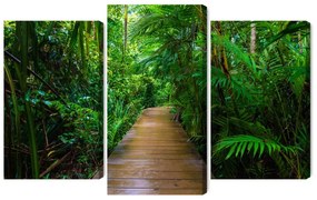 Vícedílný obraz Dřevěný Most V Tropickém Lese 3D Nedostatek Nedostatek Přírodní plátno 180x120