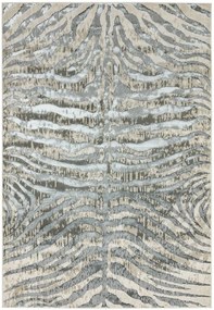 Šedý koberec Ston Zebra Rozměry: 200x290 cm