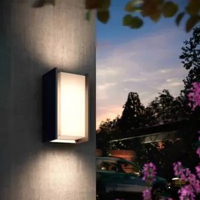 Philips Hue Turaco antracit / Venkovní nástěnné svítidlo / E27 / Bluet