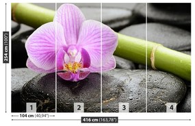 Fototapeta Orchidejové kameny 104x70