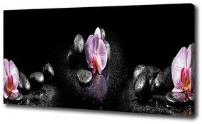 Wallmuralia Foto obraz na plátně do obýváku Orchidej 100x50