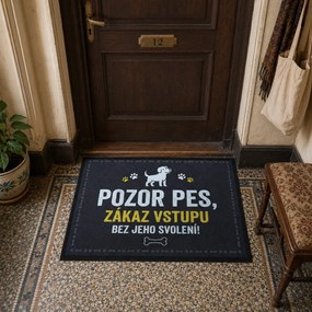 Mercury Flooring, Rohožka se psím svolením 40x60 cm - na ven i na doma, 40x60, šedá