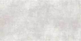 EBS Alpha - Dlažba 30,3x61 cm, matná ceniza ALPH3061C