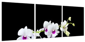 Obraz orchideje (90x30 cm)