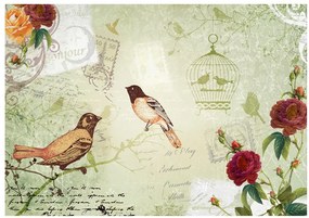 Fototapeta - Vintage birds