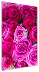 Wallmuralia Vertikální Foto obraz sklo tvrzené Růžové růže 50x100