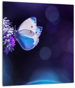 Obraz - Motýli na levanduli (30x30 cm)