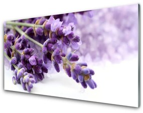Obraz na skle Květiny Příroda Rostlina 125x50 cm