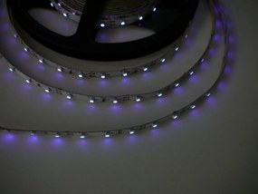 LED pásek UV ultrafialový UV LED pásek 395-405nm, 4,8W/m - 92198 - A-LIGHT
