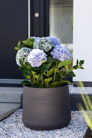Květináč TROPICO, sklolaminát, výška 38 cm, antracit
