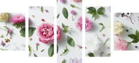 5-dílný obraz jemné zátiší z květů - 100x50 cm
