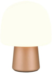 Stolní lampa v bílo-bronzové barvě se skleněným stínidlem (výška 27 cm) Steen – Trio