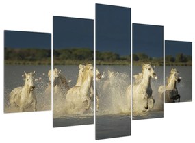 Obraz bílých koní (150x105 cm)