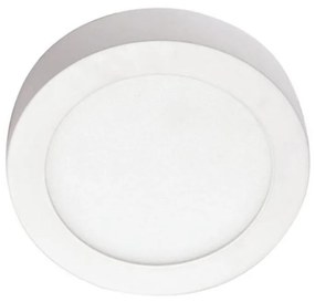 LED Stropní svítidlo LED/18W/230V 4000K pr. 22,5 cm