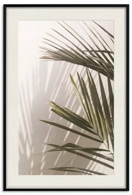 Plakát Listy palmy - sluneční pohled na klidnou hru stínu a světla