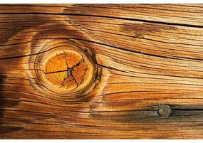 Vliesové fototapety na zeď Dřevěný suk | MS-5-0157 | 375x250 cm