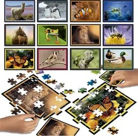 EDUCA Puzzle bitva Příroda / 12x42 dílků / od 7 let