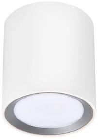 Nordlux Stropní koupelnové svítidlo Landon 14 Smart Barva: Bílá