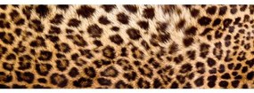 Samolepicí fototapeta na kuchyňskou linku Leopardí kůže KI180-069 / Fototapety do kuchyně Dimex (180 x 60 cm)