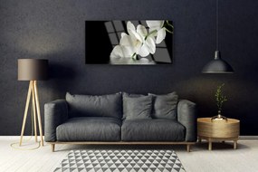 Obraz na skle Orchidej ve Vodě Květiny 140x70 cm