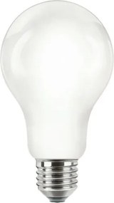 ZAR. LED CLASS 120W A67 E27 CW FR ND