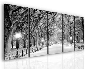 Obraz Central Park Velikost (šířka x výška): 150x70 cm