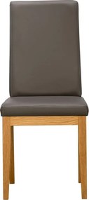 Casarredo - Komfort nábytek Dřevěná jídelní židle DEGO, Novel výběr barev, (2ks) | barva: szy-dub-zlatý,potah: novel 02