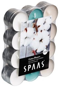 Spaas Tri Cotton Blossom 24 ks