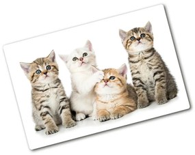 Wallmuralia Kuchyňská deska skleněná Malé kočky 80x52 cm