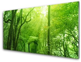 Obraz na skle Stromy Příroda 140x70 cm