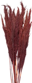Vínová kytice sušené květy bambusu Bamboo - 100 cm (10ks)