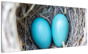 Obraz modrých vajíček v hnízdě (100x40cm)