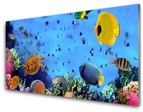 Obraz na skle Korálový Útes Ryba Příroda 140x70 cm
