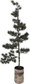 Dekorativní svítící jehličnatý stromek na podstavci Bonsai Tree LED L - 30*35*100 cm / 3*AAA