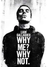 Plakát, Obraz - Liam Gallagher - Why Me Why Not, (61 x 91.5 cm)