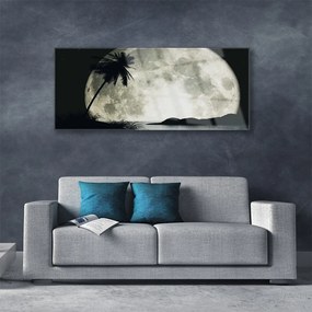 akrylový obraz Noc Měsíc Palma Krajina 125x50 cm