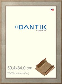 DANTIK rámeček 59,4x84 | TOOTH stříbrná (Plexi Čiré)