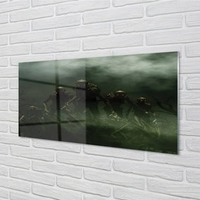 Obraz na skle Zombie mraky 100x50 cm