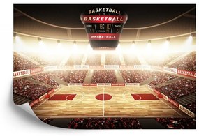 Fototapeta Basketbalový Stadion Hladký vinyl 208x146